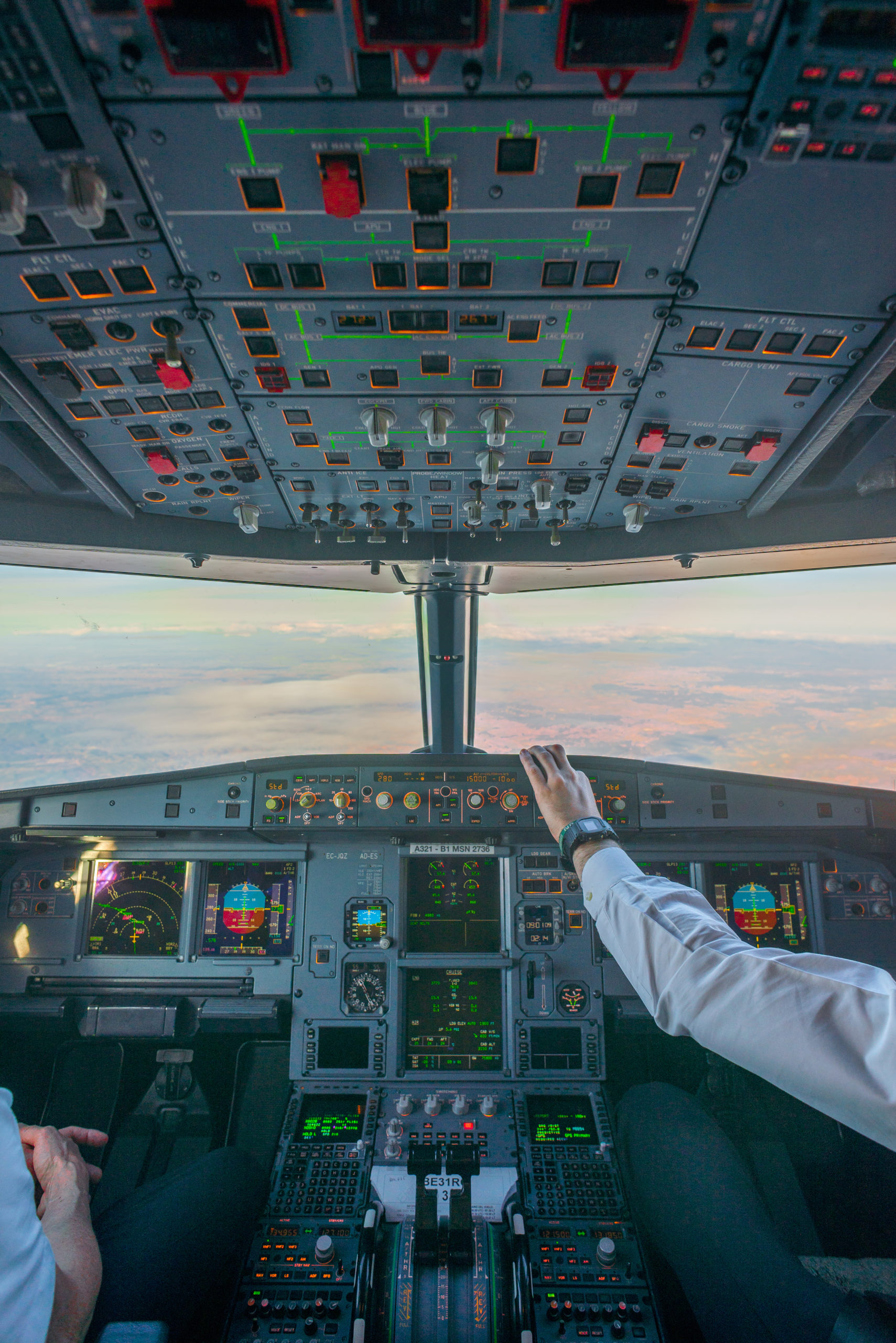 Flock Management - Aircraft Support Services